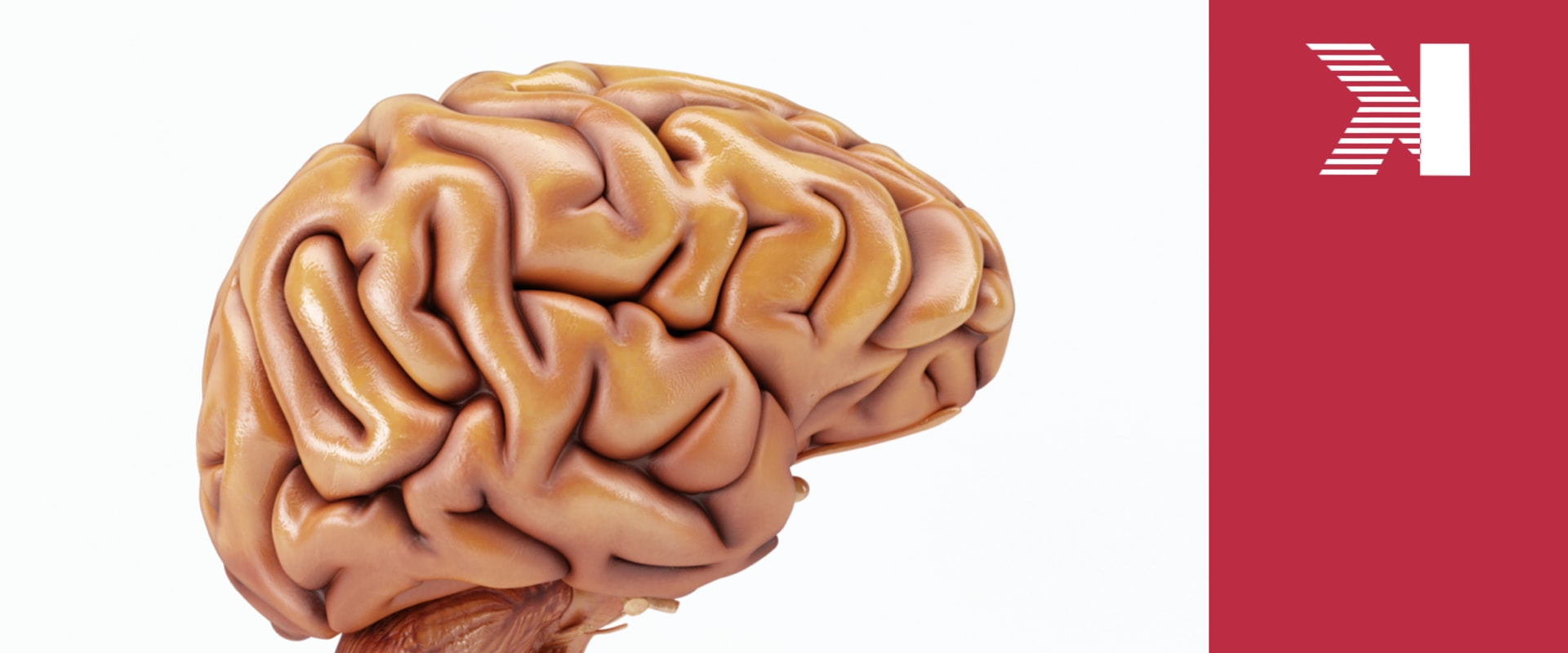 What is biohacking your brain? What is biohacking your brain?